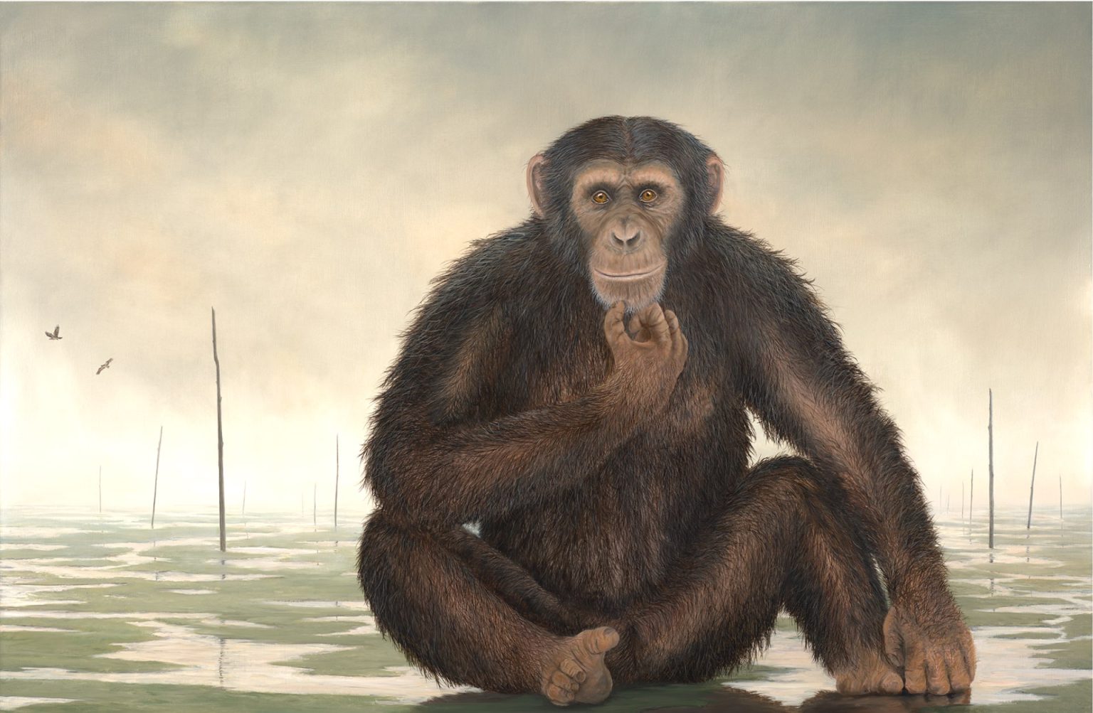 Home - Robert Bissell