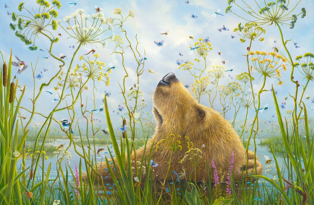 Home - Robert Bissell