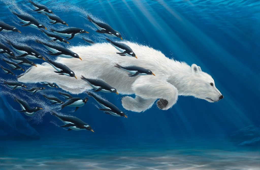 Home - Robert Bissell