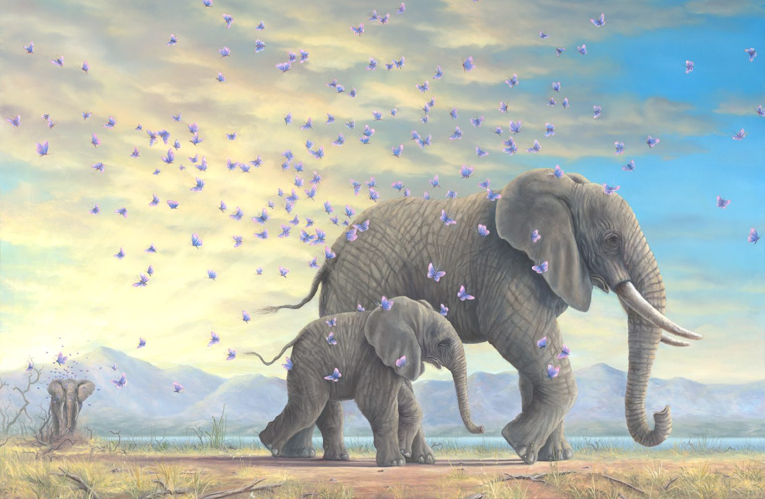 Home - Robert Bissell