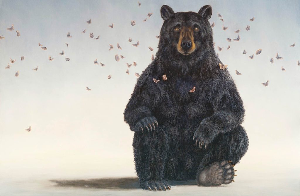 Home - Robert Bissell