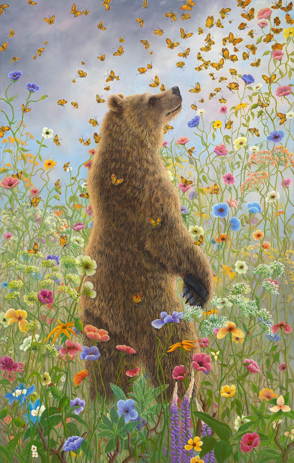 Home - Robert Bissell