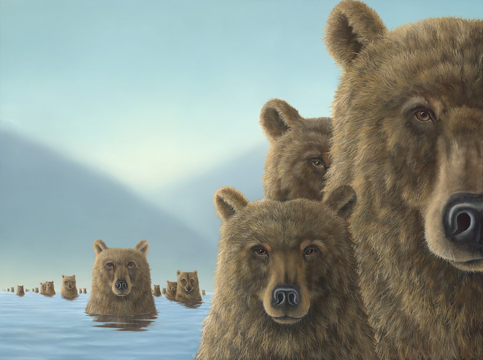 Home - Robert Bissell