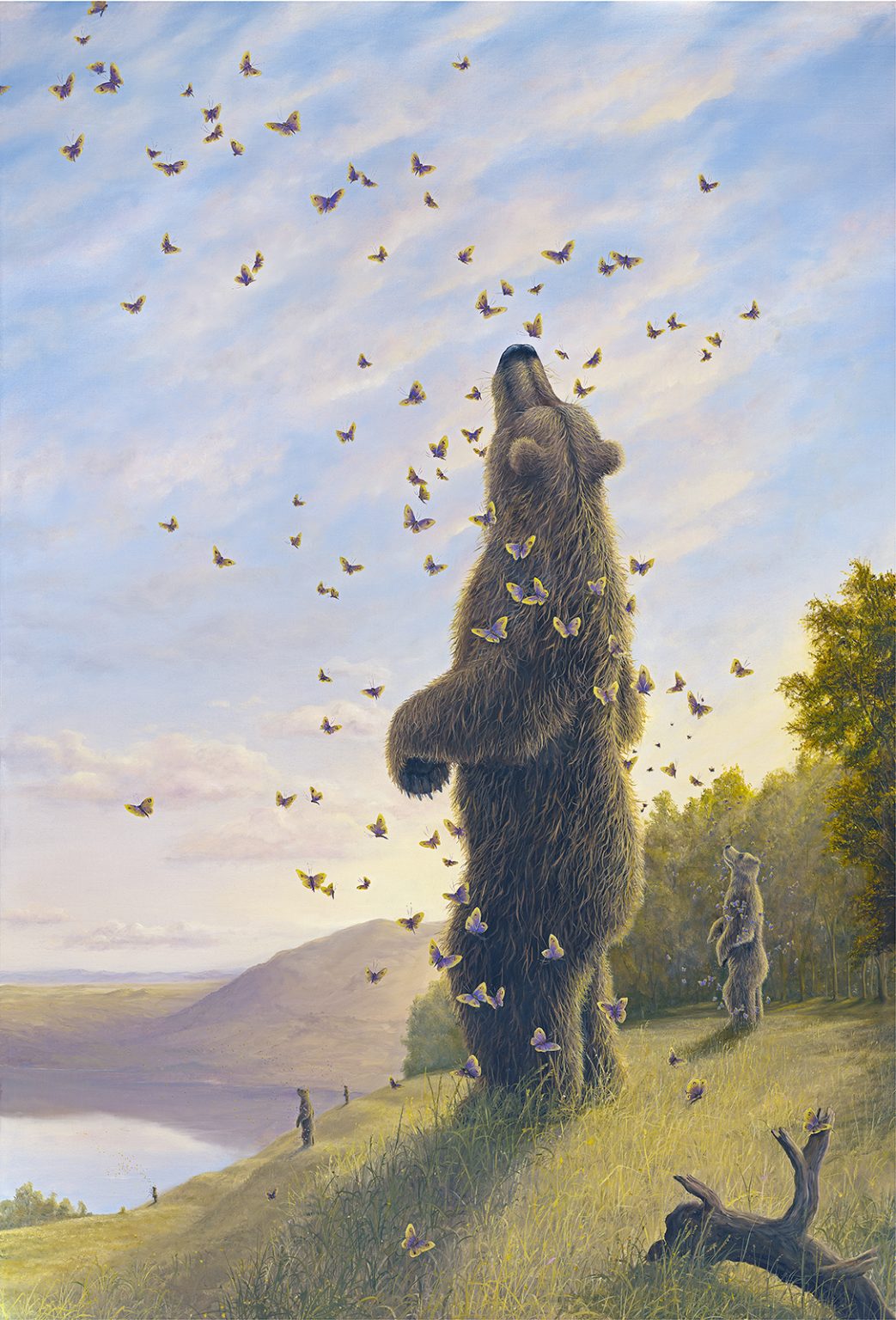 Shop - Robert Bissell