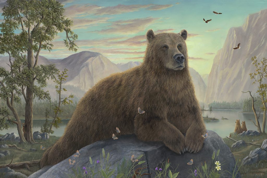 Shop - Robert Bissell